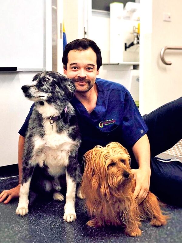 Our Team - Port Phillip Animal Hospital